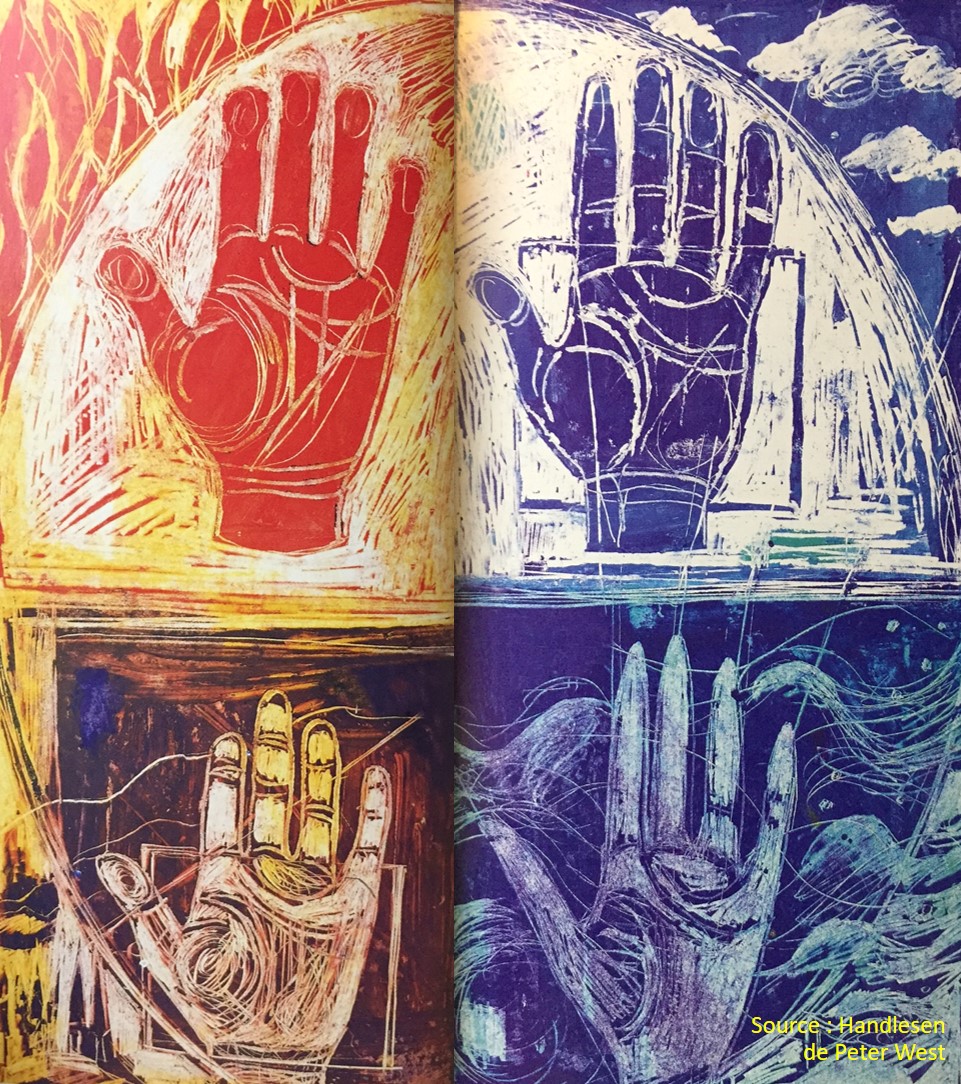 Classification moderne des mains - Chirogo